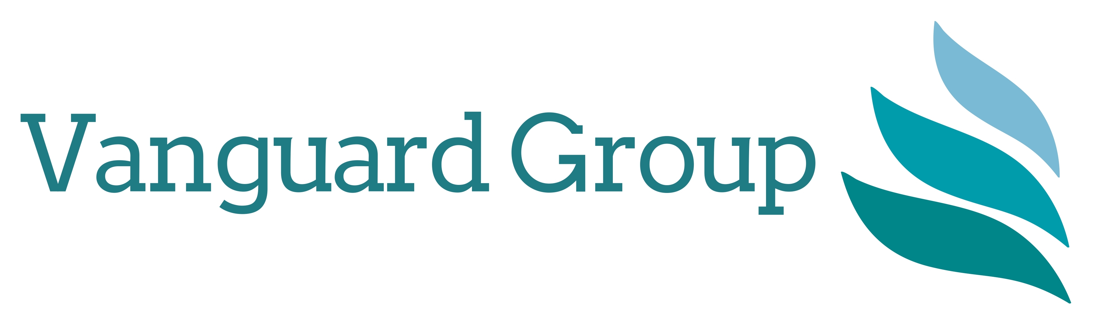 Vanguard Group Sp. z o.o. | Selektywna rekrutacja i wsparcie ...